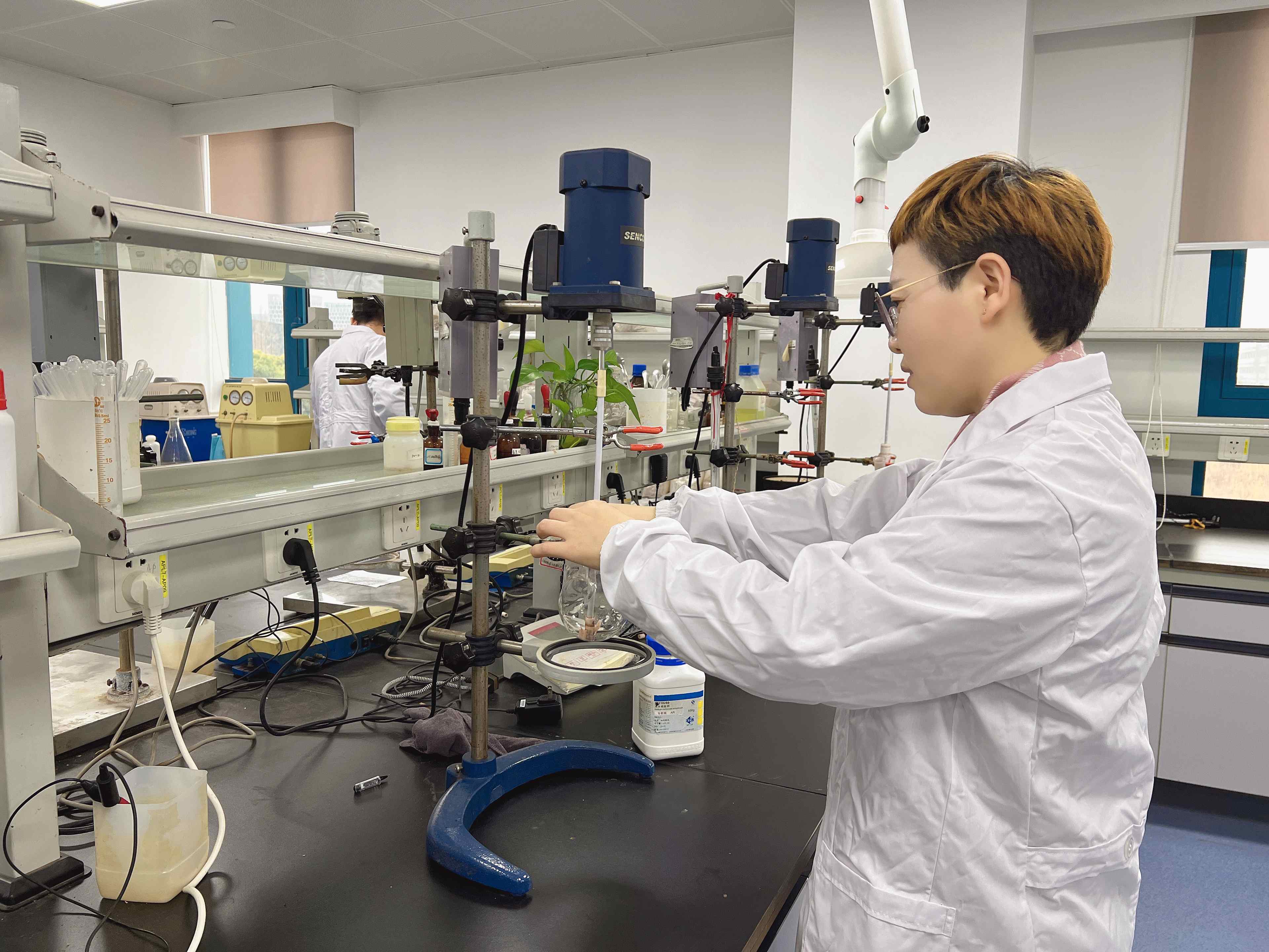 Diatomaceous Earth Composition: Everything You Need To Know