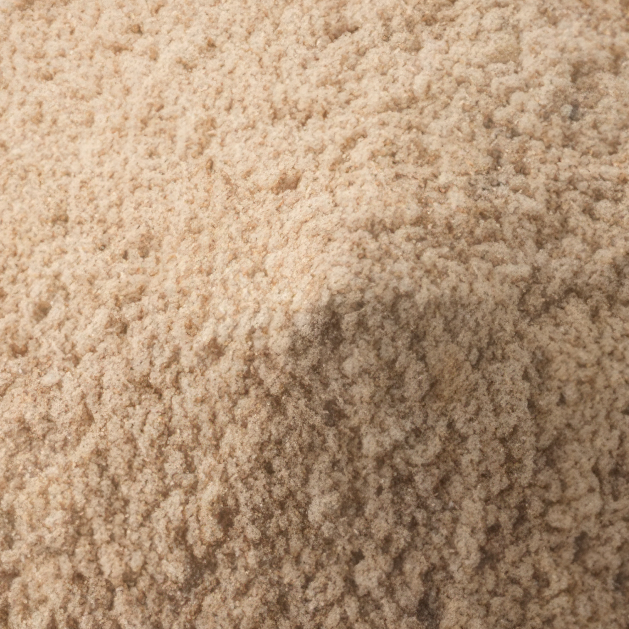 Organic Diatomaceous Earth Powder – Premium Quality from Matex YG