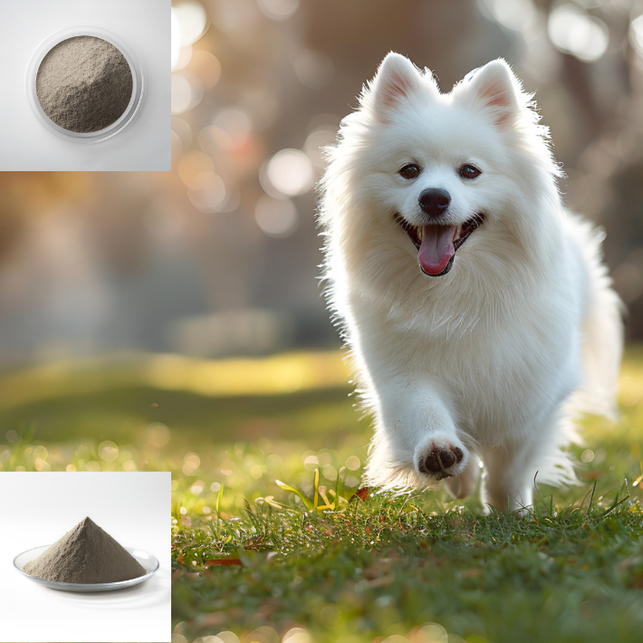 How to Use Diatomaceous Earth for Dogs: A Step-by-Step Guide for Pet Owners