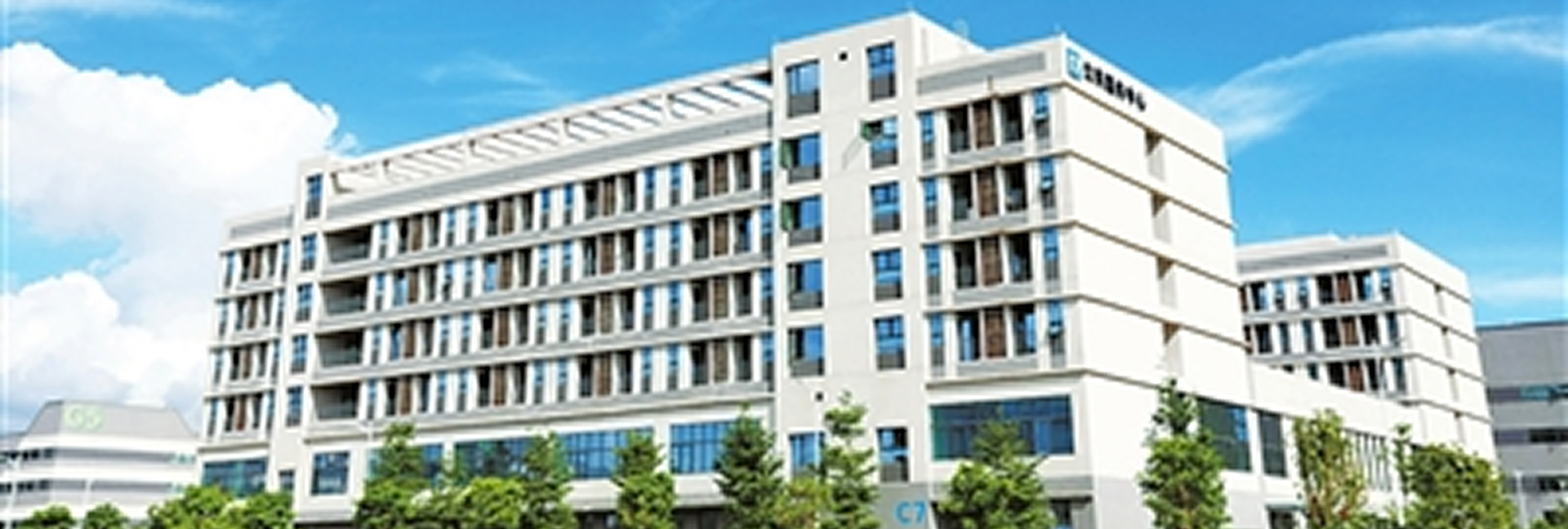 Endodontic Barbed Broach – High-Efficiency Root Canal Instrument